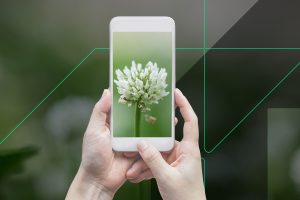 Best Resources for iPhone Backgrounds - Rehack