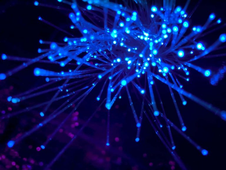 What Is a Domain in a Computer Network? - Rehack